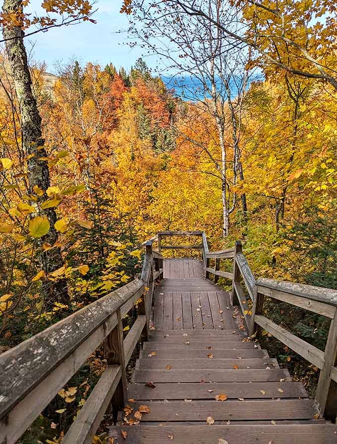 Autumn paints the trail in colors that make you understand why people buy expensive cameras, then realize their phone actually works just fine.