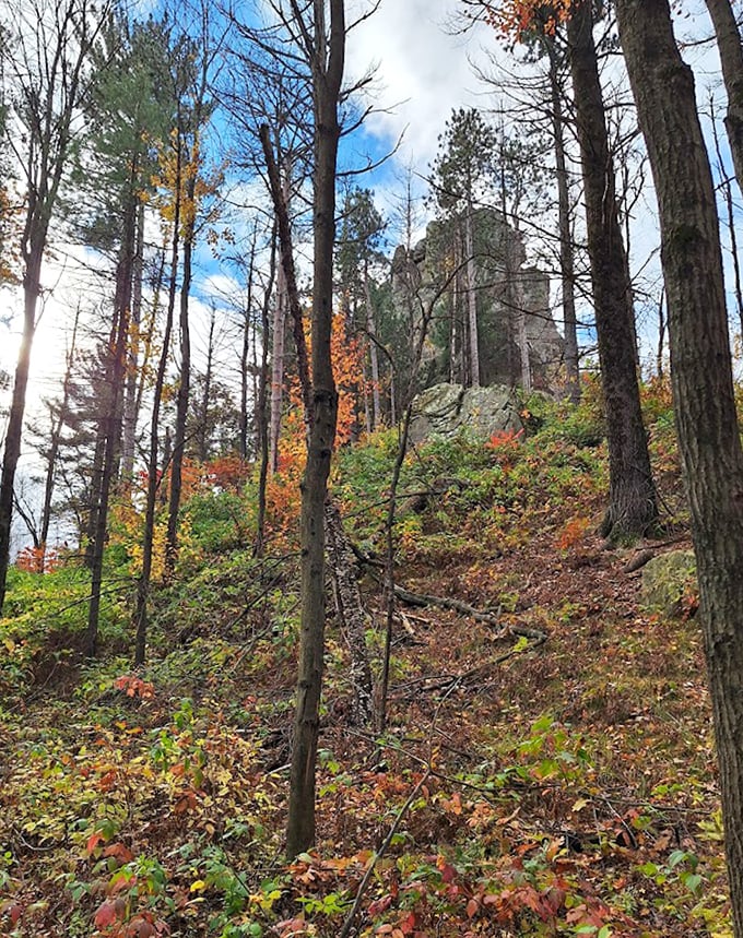 Autumn's paintbrush transforms Mill Bluff's woodland into a masterpiece of russet and gold. The forest whispers of change while ancient rocks stand eternal.