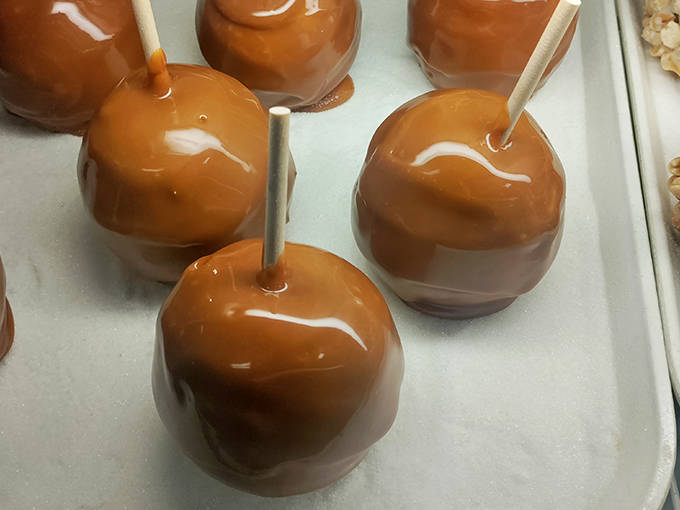 Caramel apples gleaming like amber jewels, each one a perfect balance of tart fruit and sweet, buttery coating that shatters with each bite.