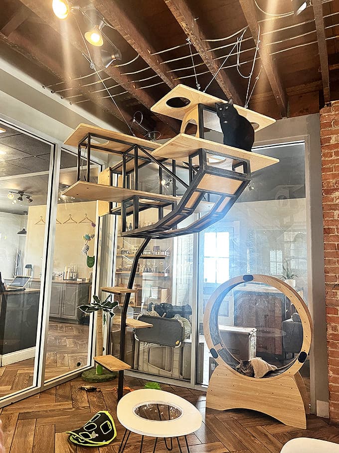 This architectural marvel isn't just a cat tree &ndash; it's a feline playground that doubles as functional art, inviting curious cats to climb and explore.
