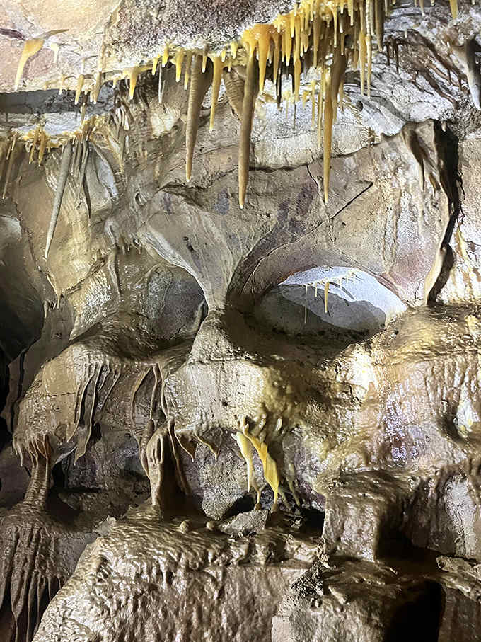 The cave walls tell Earth's story through layers of sediment, mineral deposits, and the patient artistry of water over millennia.