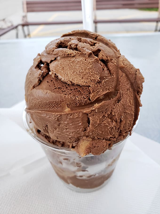 Chocolate so rich it should come with a tax form. This isn't just cocoa and cream; it's what chocolate dreams about becoming when it grows up.