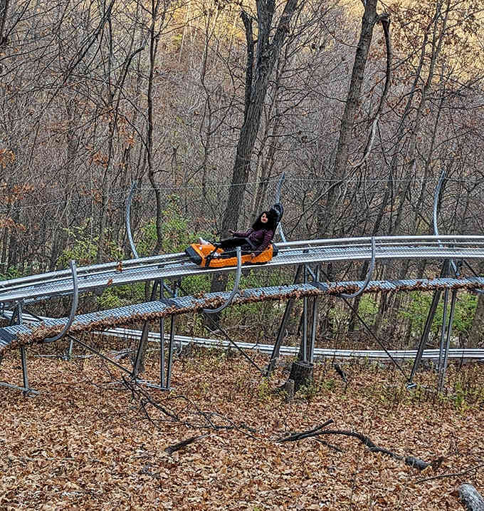 Gravity becomes your best friend as you navigate the twists and turns, your expression somewhere between terror and ecstasy.