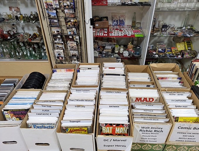 Comic book heaven awaits collectors and nostalgic readers alike, with carefully organized boxes of illustrated adventures spanning decades of publication.