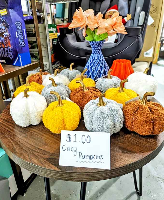These cozy decorative pumpkins bring autumn charm year-round, proving good taste doesn't need to break the bank at just a dollar each.