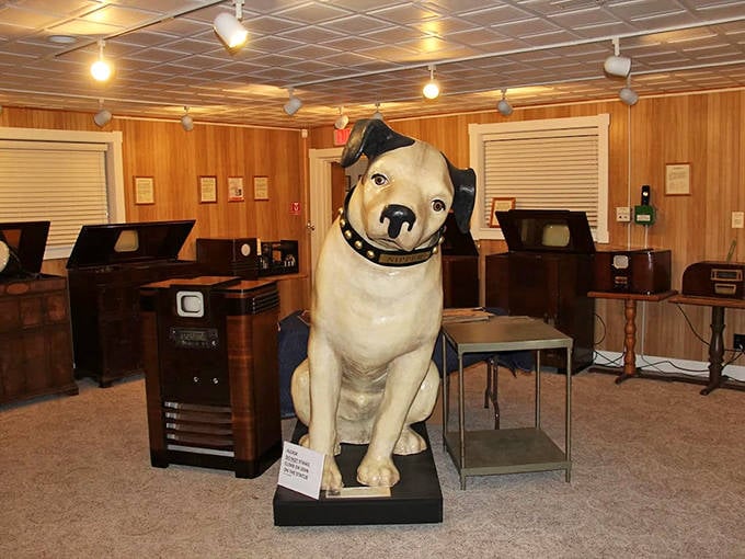 The famous RCA Victor dog &ndash; eternally puzzled by "His Master's Voice" coming through these magical new picture boxes.
