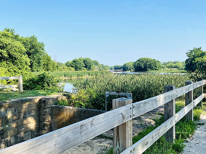 The lush vegetation creates natural corridors that make you feel like you've stepped into a secret garden, minus the creepy locked-gate situation.