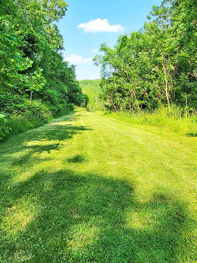 Nature's reclamation project continues as lush grass carpets what was once a sooty, bustling industrial complex humming with activity.
