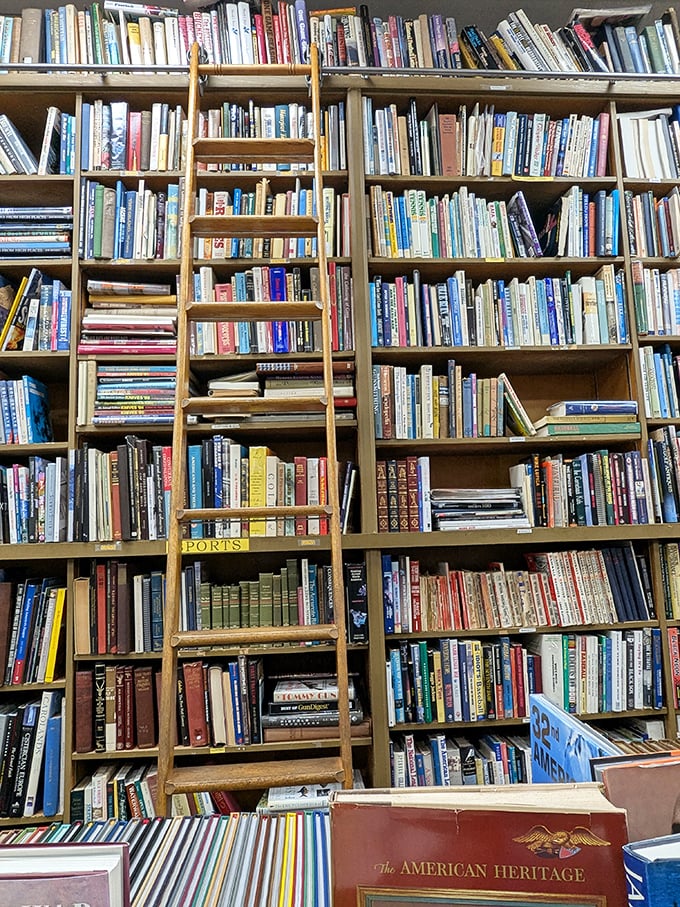 A wooden ladder stands ready for literary expeditions to the highest shelves, where forgotten classics wait to be rediscovered.