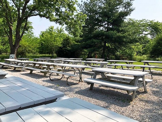 Outdoor dining at its most authentic &ndash; picnic tables under open skies where strangers become friends over shared appreciation of hand-crafted burgers.