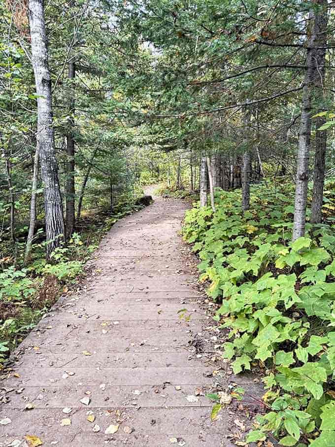 This isn't just a path &ndash; it's a journey through Minnesota's finest scenery, with each turn promising new natural wonders.