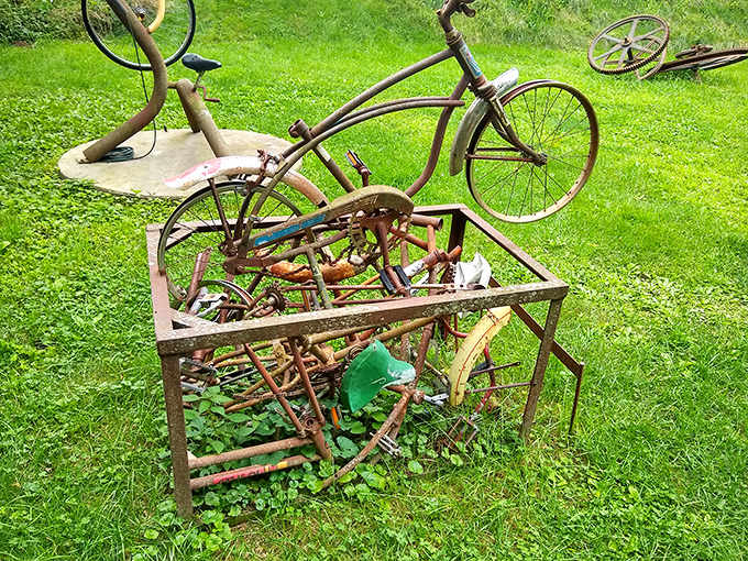 This rusty bicycle has transcended its original purpose and now exists purely to make you smile and question what counts as transportation.