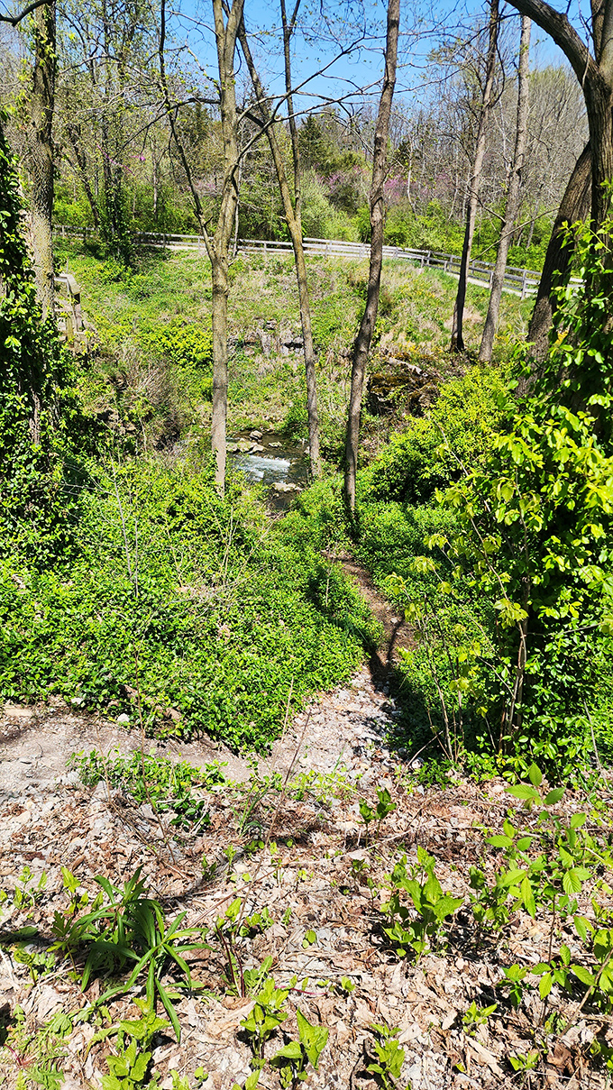 A glimpse of paradise through the trees &ndash; this trail view promises adventure ahead while the soundtrack of rushing water grows louder.