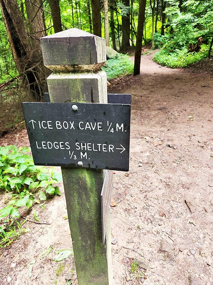 Signage: Trail markers point the way to Ice Box Cave and Ledges Shelter, nature's own GPS system for wanderers and wonderers alike.