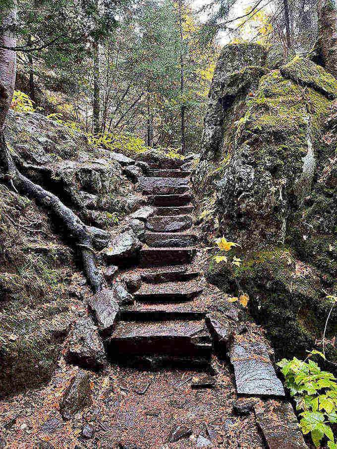 These ancient stone steps, worn smooth by countless footsteps, lead adventurers through a moss-covered corridor that feels like entering another realm entirely.