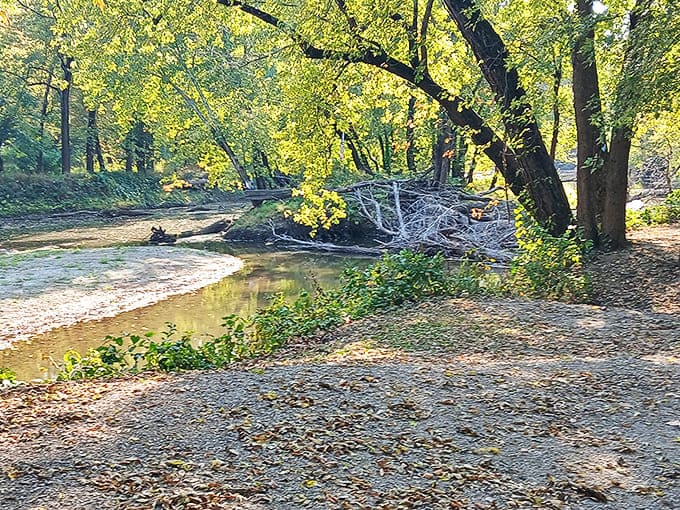 Ancient trees stand sentinel along the riverbank, witnesses to a century of crossings both ordinary and mysterious.