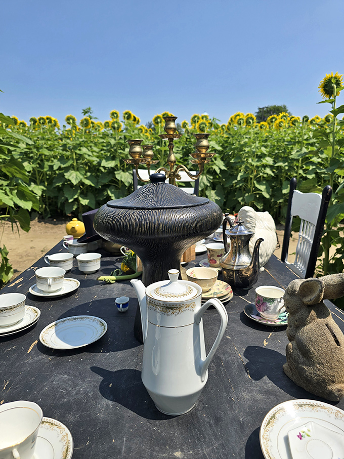 Alice in Wonderland meets Midwest charm with this surreal tea party setup &ndash; the Mad Hatter would approve, though he might request taller flowers.