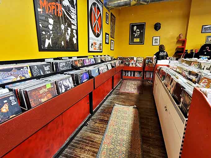 The vinyl section is a rainbow of musical history, where album art becomes a gallery exhibition of cultural moments.