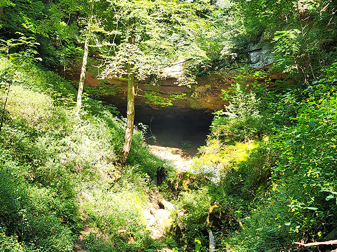 Hosak's Cave opens up like nature's own cathedral, with sunlight filtering through the trees creating stained-glass patterns on the ancient stone walls.