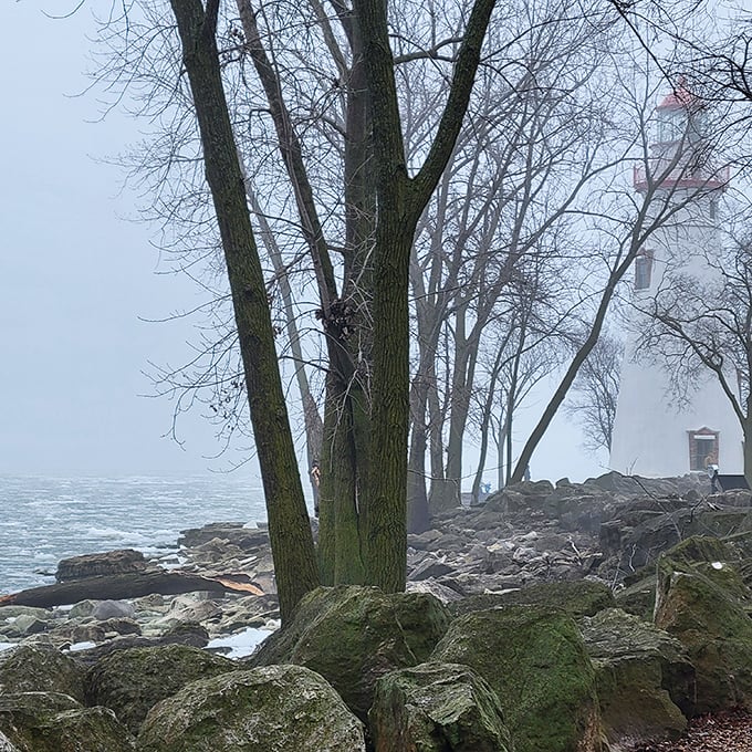 Fog and winter ice create an ethereal atmosphere, with bare trees standing sentinel alongside the lighthouse – a hauntingly beautiful scene straight from a novel.