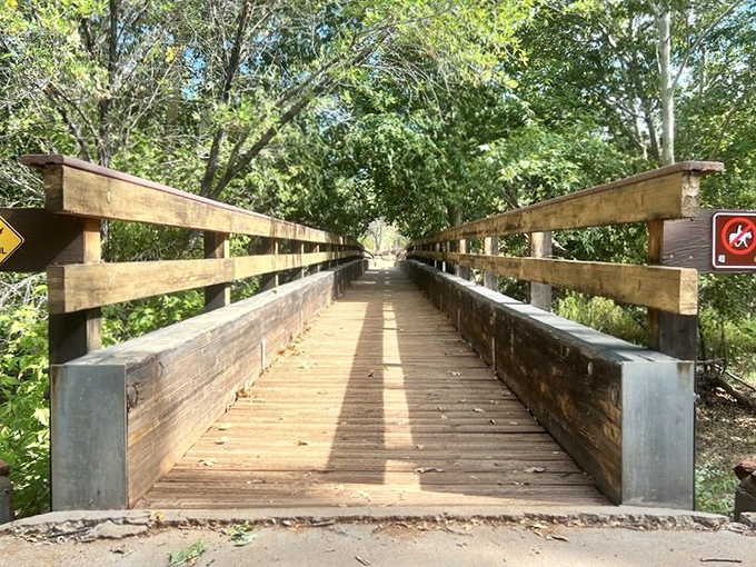 Nature's perfect symmetry &ndash; this wooden pathway cuts through greenery with mathematical precision while maintaining its rustic charm.