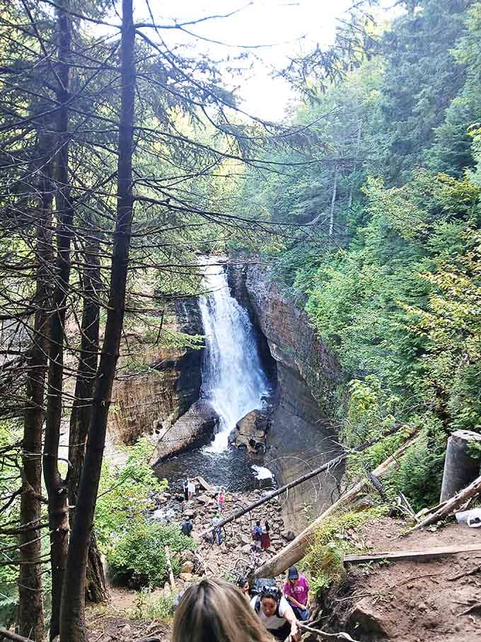 Miners Falls plunges dramatically into a rocky pool, creating a misty veil that dances in the forest light.