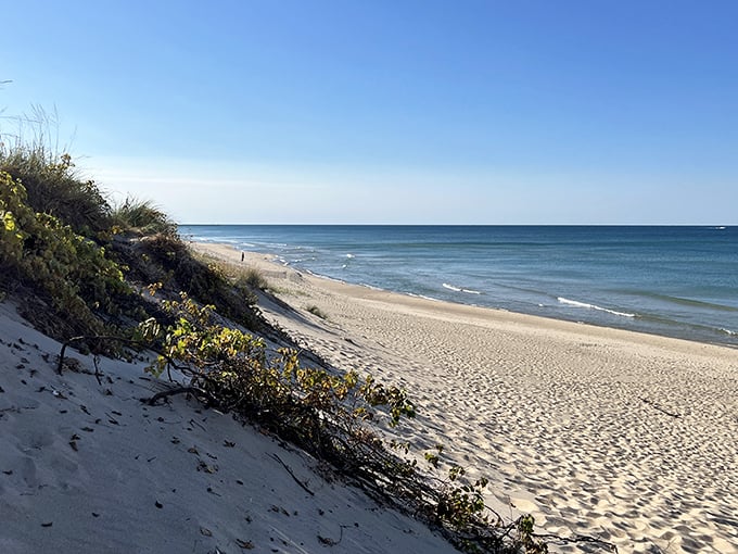 The expansive shoreline at Tunnel Park offers plenty of room for beachgoers to spread out and enjoy Lake Michigan's refreshing waters.