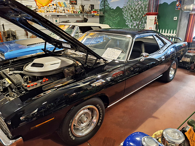 Vintage gas station memorabilia creates the perfect backdrop &ndash; those Phillips 66 and Derby signs transport you straight back to Route 66's heyday.