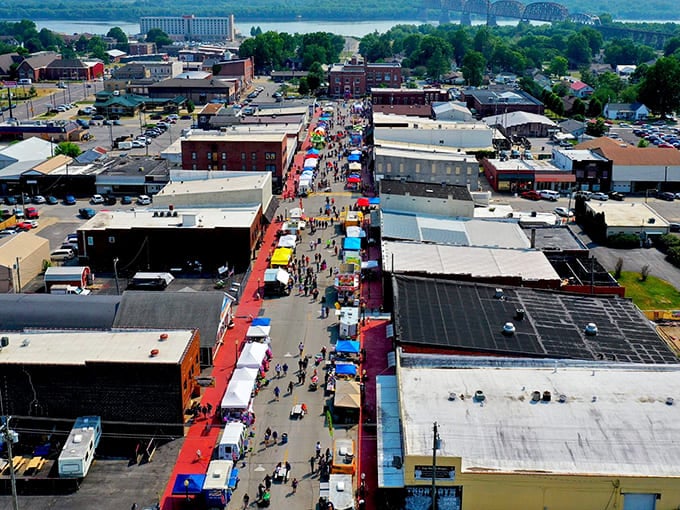 An aerial view reveals a secluded property surrounded by dense woodland, with open fields, a pond, and buildings tucked into the landscape.