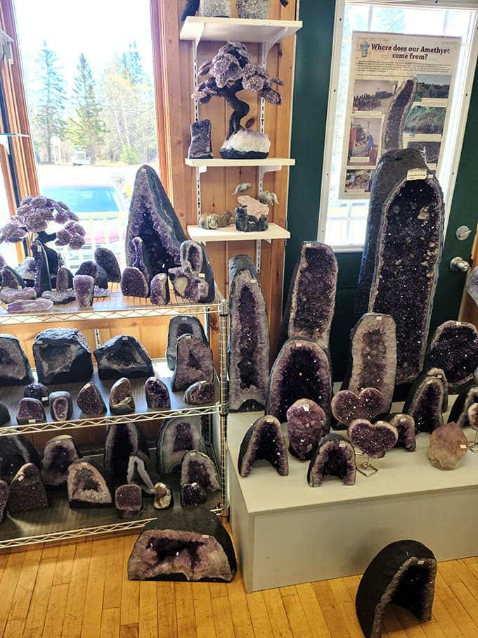 Amethyst geodes stand like purple cathedrals, their crystalline interiors catching light like frozen fireworks you can actually own and take home.