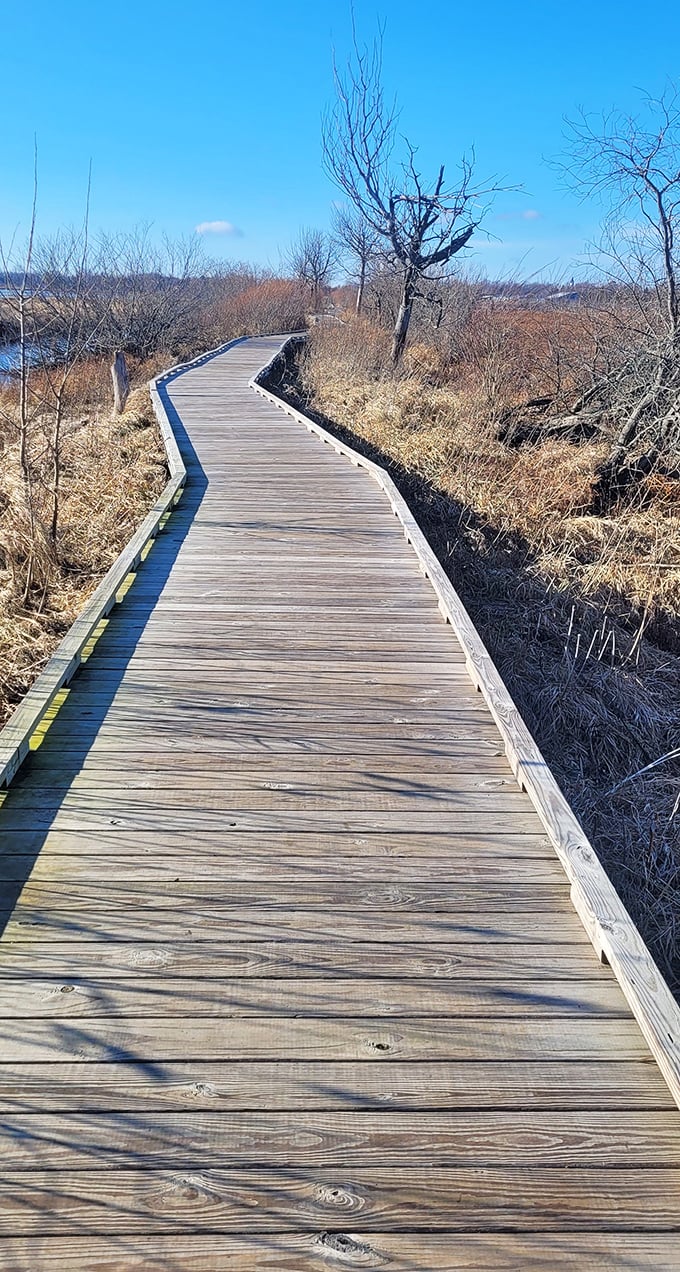 Winter reveals Arcadia Marsh's minimalist beauty &ndash; a monochromatic masterpiece waiting to be discovered.