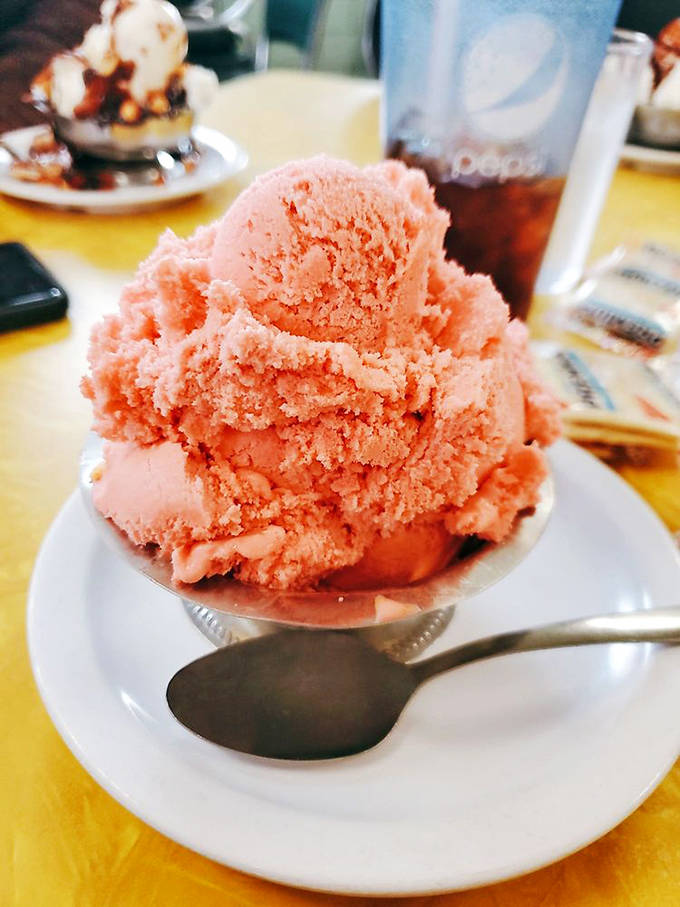 Champagne sherbet that brings a touch of elegance to the everyday &ndash; proof that simple pleasures can still feel sophisticated.