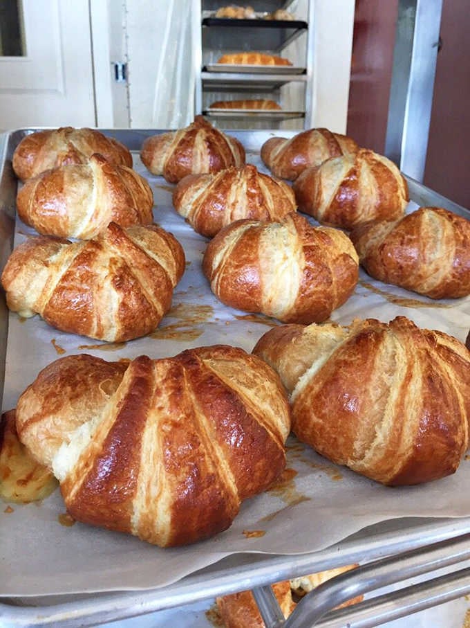 Cheese Croissants: Flaky, buttery perfection lined up like golden soldiers, these croissants shatter delicately with each bite, revealing their cheesy treasures.