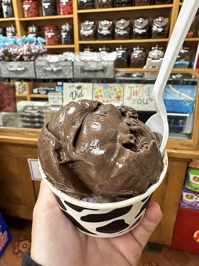 Rich chocolate ice cream in a zebra-striped cup demonstrates that sometimes simple pleasures are the most satisfying, especially when they're this creamy.
