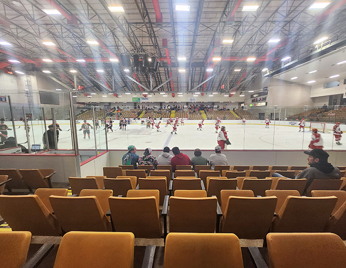 David S. Palmer Arena hosts everything from hockey games to concerts, bringing big-venue entertainment to small-town Illinois with hometown enthusiasm.