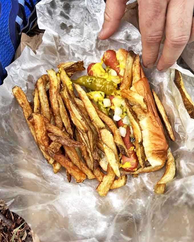 Two hot dogs, one bun, infinite possibilities, and enough fries to make you forget what vegetables even look like for a while.