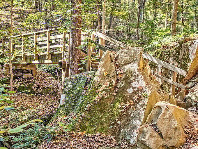 These weathered wooden bridges connect different worlds within the forest, each crossing a threshold to new discoveries.