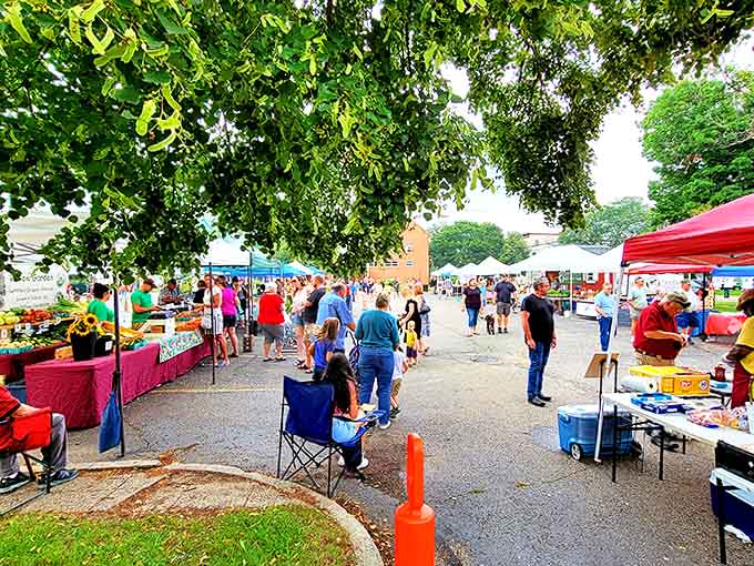 Marshall's farmers market buzzes with local energy, where Michigan's bounty is displayed under canopies while neighbors catch up on town gossip.