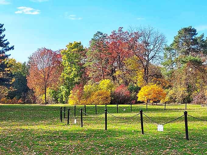 Autumn transforms the estate grounds into a painter's palette of gold, crimson and amber, framed by the estate's signature black fence.