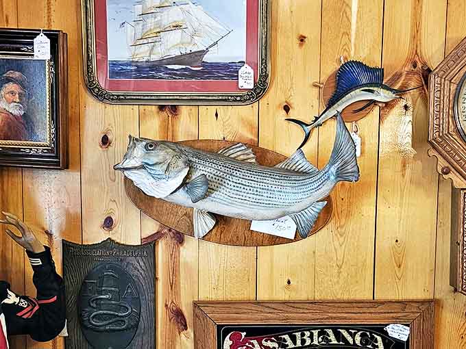 This mounted fish has been telling the same silent tale for decades &ndash; always growing larger with each retelling by admiring shoppers.