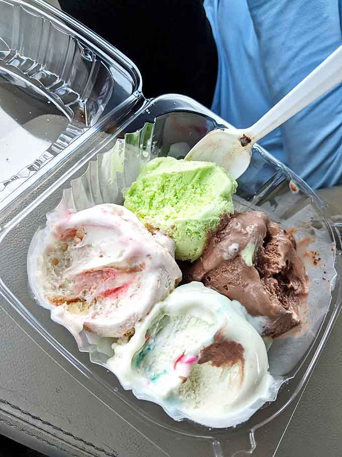 A quartet of flavors performing in perfect harmony &ndash; each scoop brings its own personality to this plastic container concert hall.