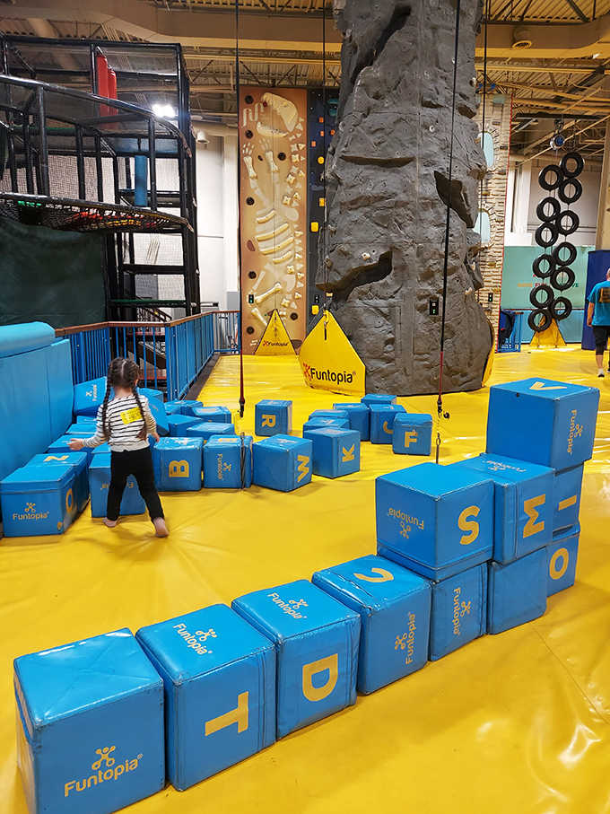 Foam building blocks create a construction zone where young architects test the laws of physics and parents pretend not to notice impending tower collapses.