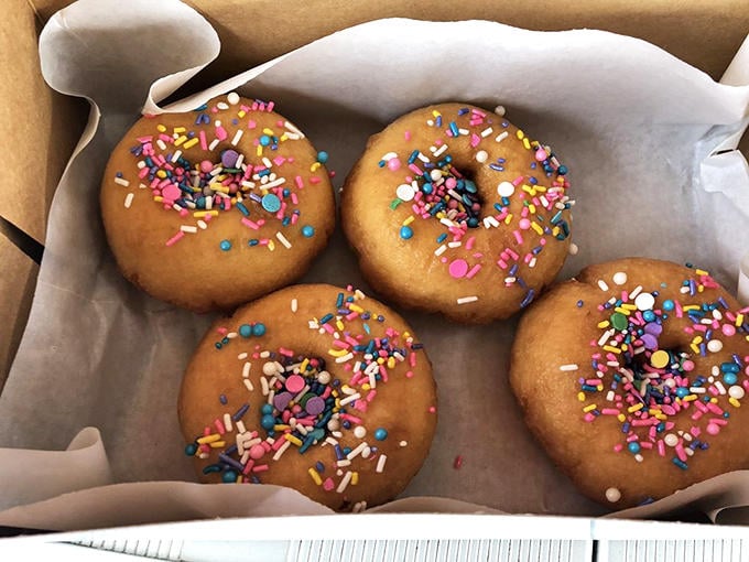 These sprinkle-topped treasures aren't just donuts; they're edible confetti celebrating another perfect morning on Florida's forgotten coast.