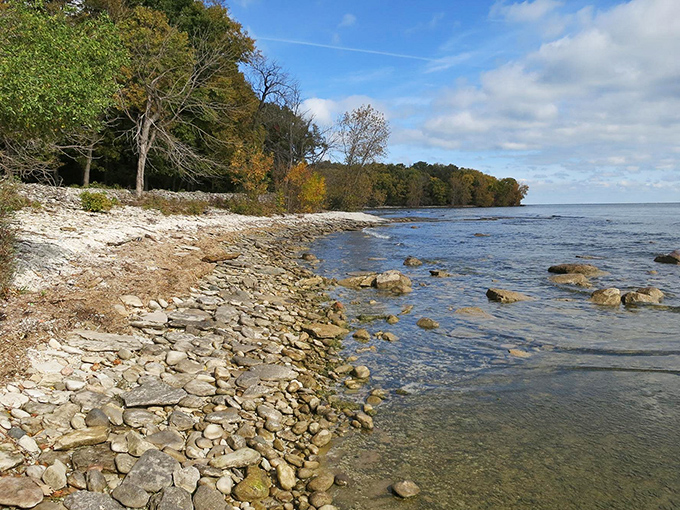 Jones Preserve's rocky shoreline creates a natural boundary between land and water, perfect for contemplative walks and fossil hunting.