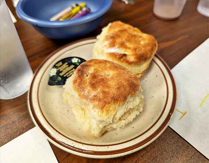 Those biscuits deserve their own fan club &ndash; golden-topped, fluffy-centered pillows of joy that make everything better.