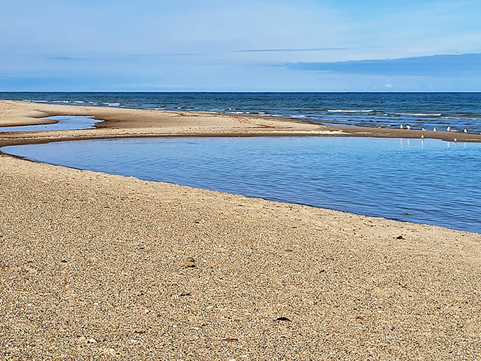 Even the warning signs can't diminish the appeal of this beach, where the biggest danger is probably forgetting to reapply sunscreen.