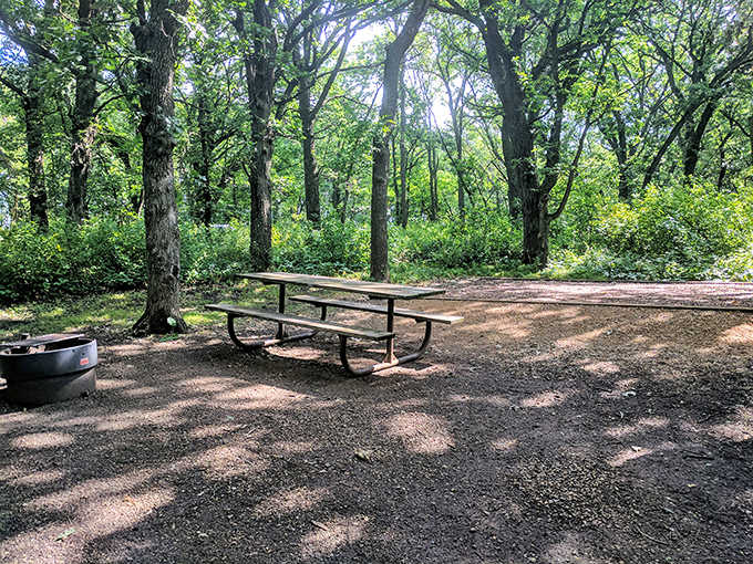 Picnic Table: This lonely table sits in dappled shade, practically begging for a family to bring potato salad and memories-in-the-making.