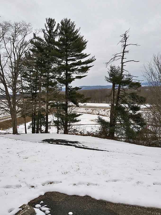 Snow transforms Lake White into a hushed wonderland where barren trees reveal views hidden during leafy months and footprints tell stories.