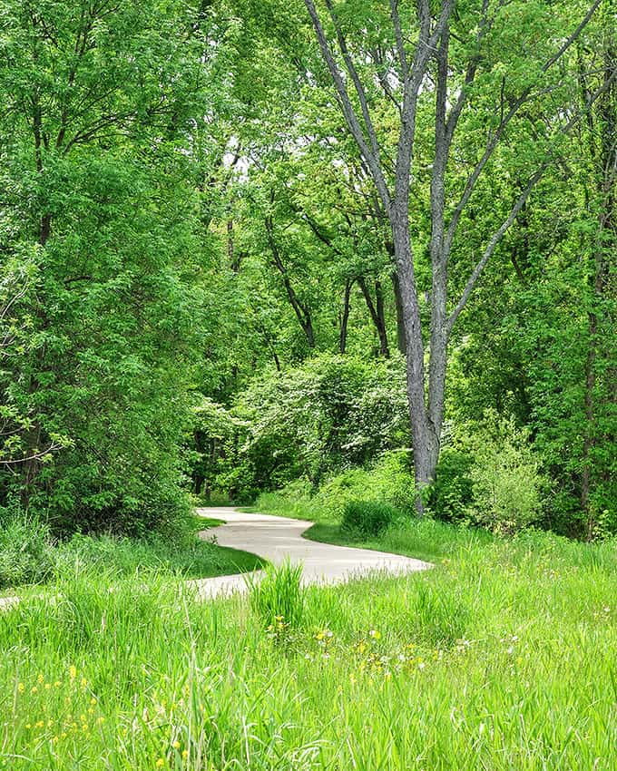 The trail curves gently through lush summer greenery, offering a cool respite from Michigan's summer heat and urban concrete.