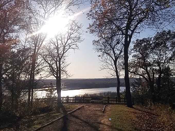 Nature's invitation to wander &ndash; a sun-dappled path leading to discoveries that no GPS could ever predict.